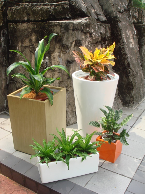 Malaysia Flower Pot Supplier | Best Flower Site